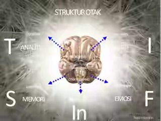 Sejarah Konsep STIFIn - STIFInAction