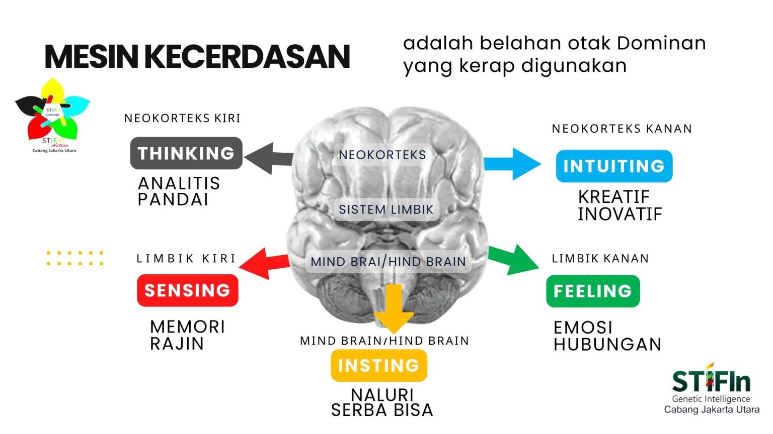 Tes STIFIn Resmi | STIFInaction Official | Stifin | Personaliti Genetic